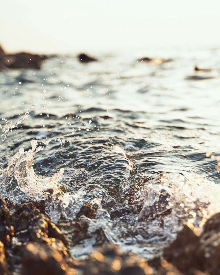 Alignment – Align Yourself with Nature